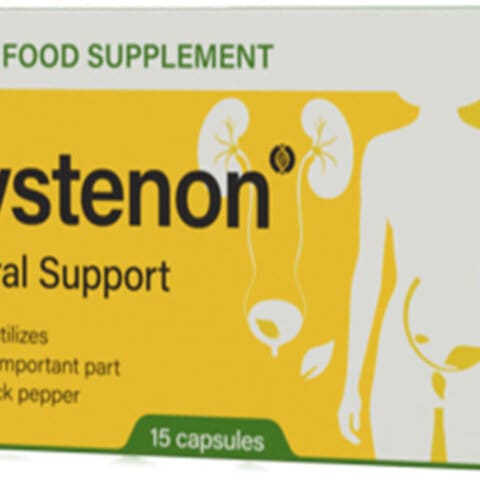 Prostapil kapsule – Cena, gde kupiti i iskustva korisnika u Srbiji